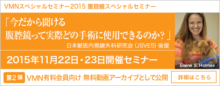 VMN（Veterinary Medical Network）| 臨床獣医師のための情報サイト