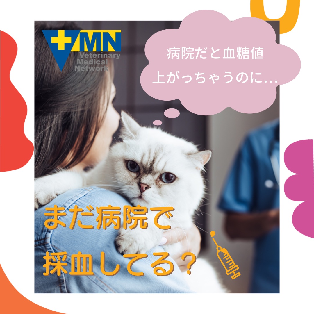 VMN（Veterinary Medical Network）| 臨床獣医師のための情報サイト